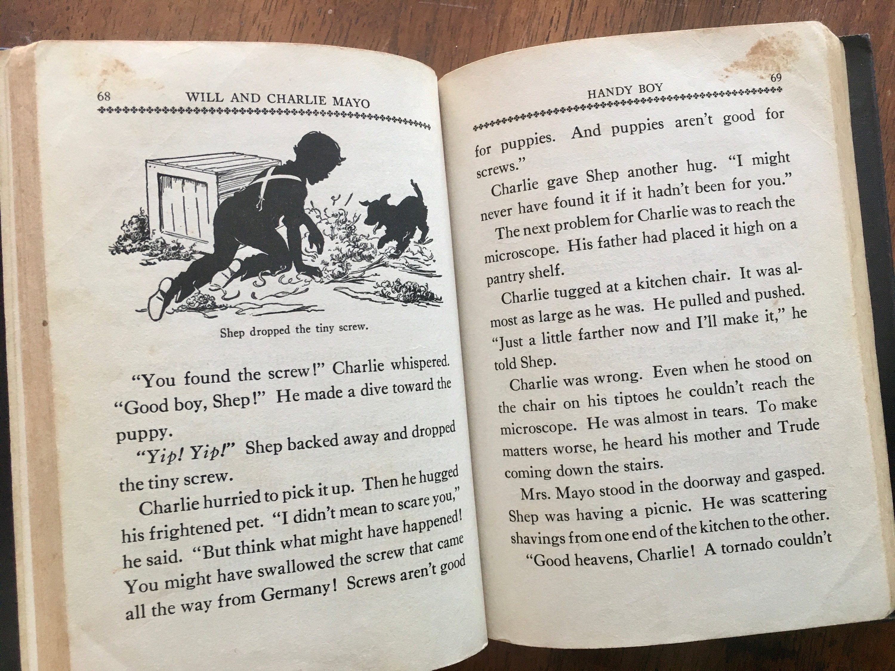 1954 Will and Charlie Mayo: Doctor's Boys by Marie Hammontree ...