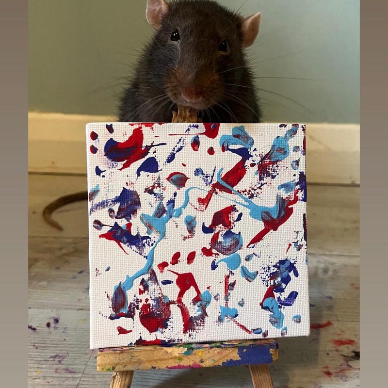 Animal Painted Painting - Etsy UK