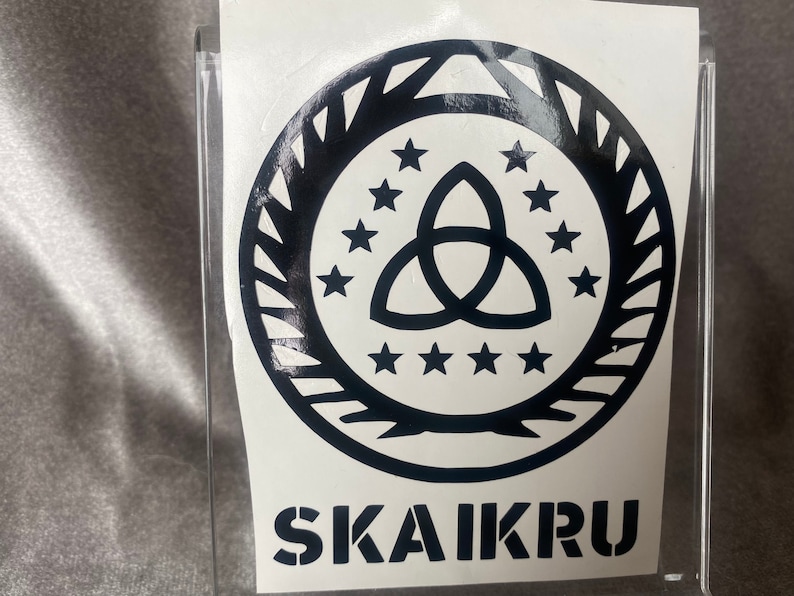 The 100 Clans Sigil Crest Trikru Skaikru CW TV Show | Etsy