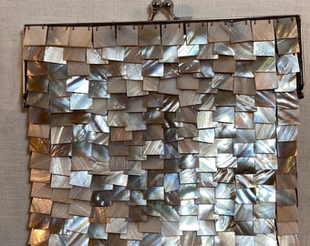 Abalone Purse | Etsy