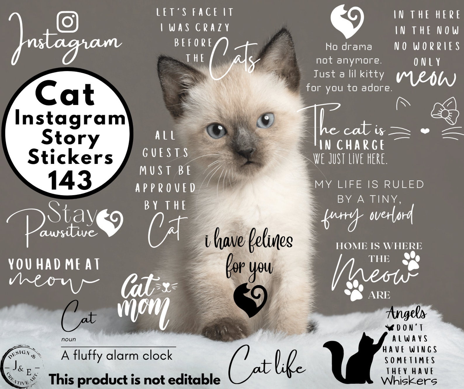 Cat Instagram Story Sticker, Pet Story Stickers, Cat Instagram Sticker ...