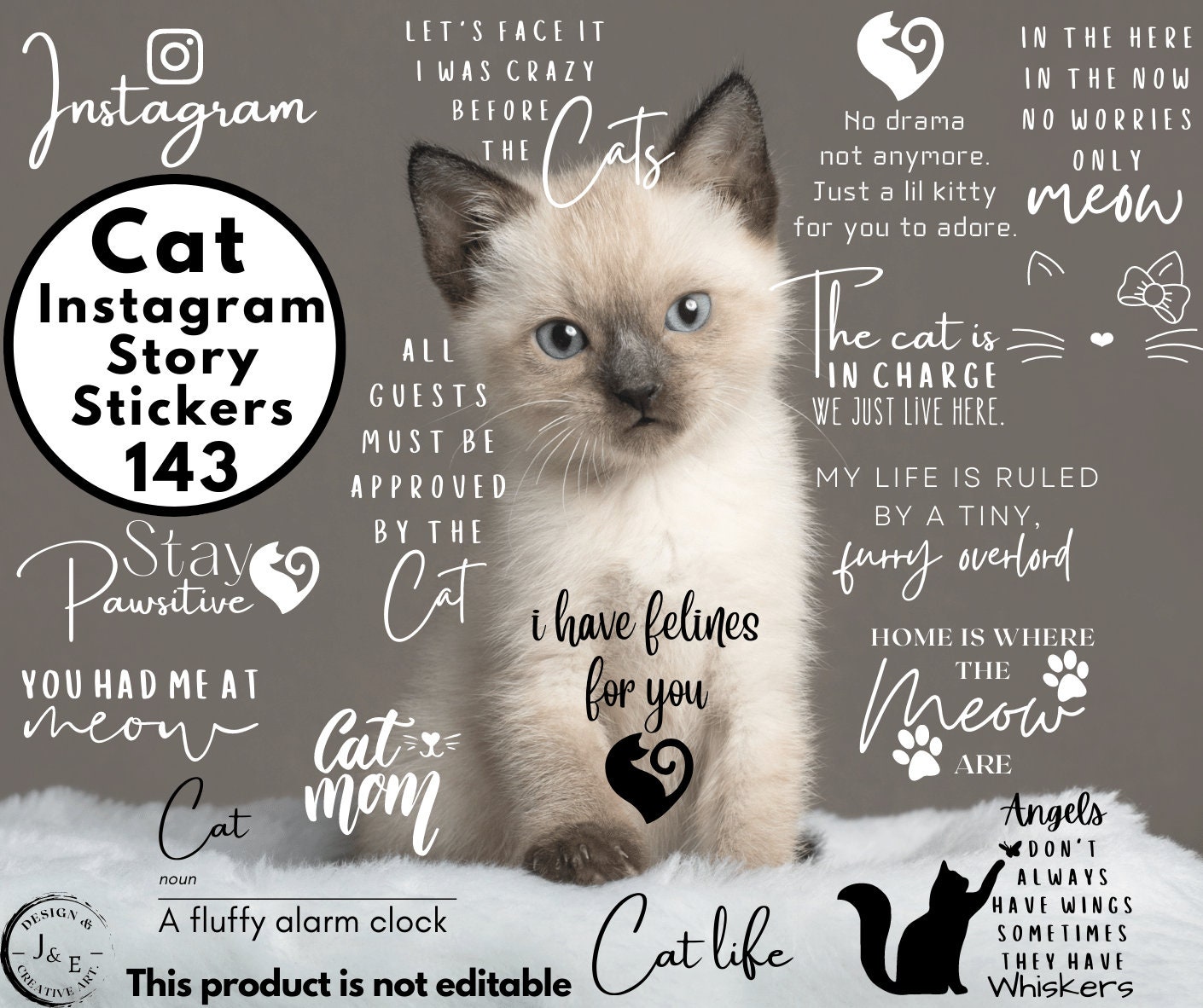 Cat Instagram Story Sticker, Pet Story Stickers, Cat Instagram Sticker ...