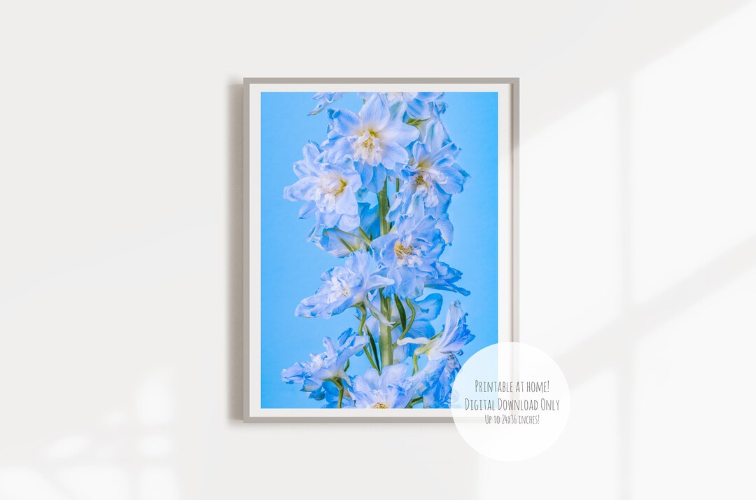 Vertical Delphiniums on Blue Background - Large Wall Print, Fine Art ...