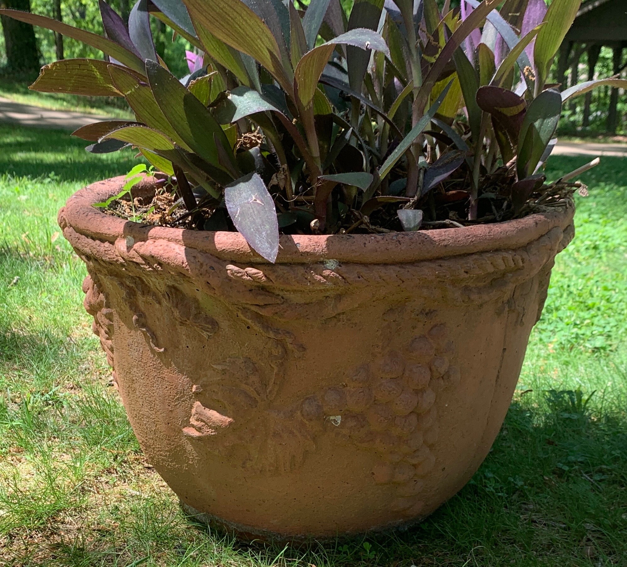 Large Round Terracotta Clay Planter Pot Bowl Grape Vine Ribbon Rope ...