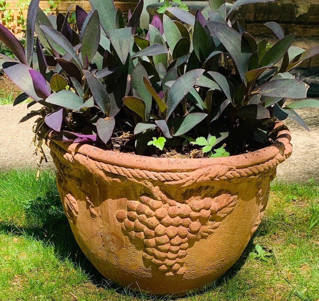 Large Round Terracotta Clay Planter Pot Bowl Grape Vine Ribbon Rope ...