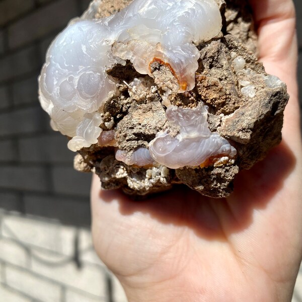 Chalcedony Geode - Etsy