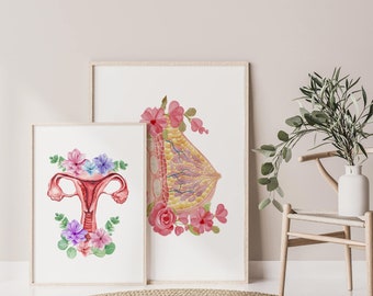 Reproductive System Anatomy Wall Art Anatomy Print - Etsy Hong Kong