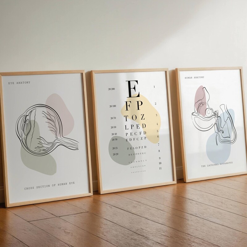 Optometry Wall Art - Etsy