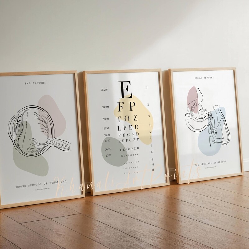 Optometry Wall Art - Etsy