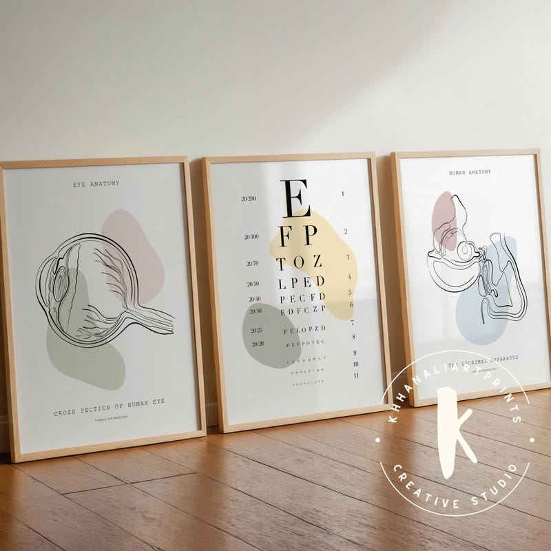 Optometry Prints - Etsy