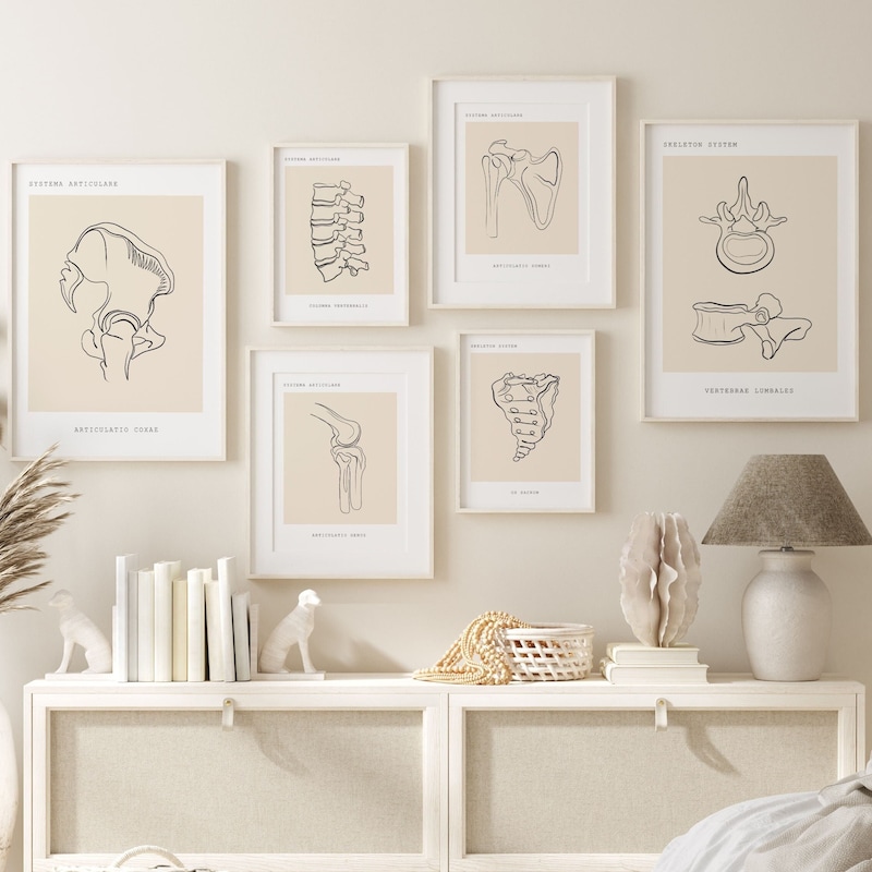 Anatomy Etsy