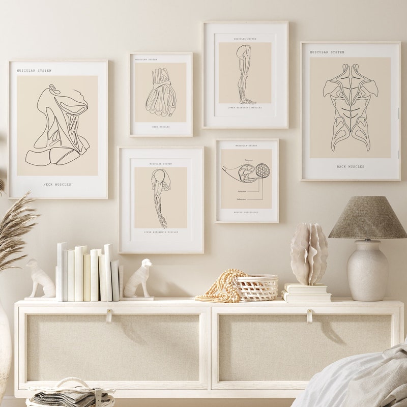 Muscle Physiology Poster - Etsy