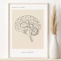 Brain Heart Lungs Rib Cage Anatomy Set of 4 Watercolor Prints Wall Art ...