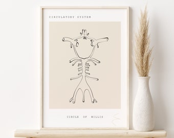 Circle of Willis Anatomy Worksheet- Single FILLABLE- Digital Download ...