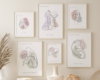 Anatomy Art Set, Human Anatomy Art, Doctors Day Gift,clinic Wall Decor ...