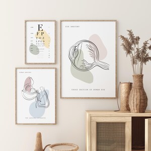 Ophthalmology Poster, Anatomy Wall Art Prints, Eye Clinic Wall Decor ...