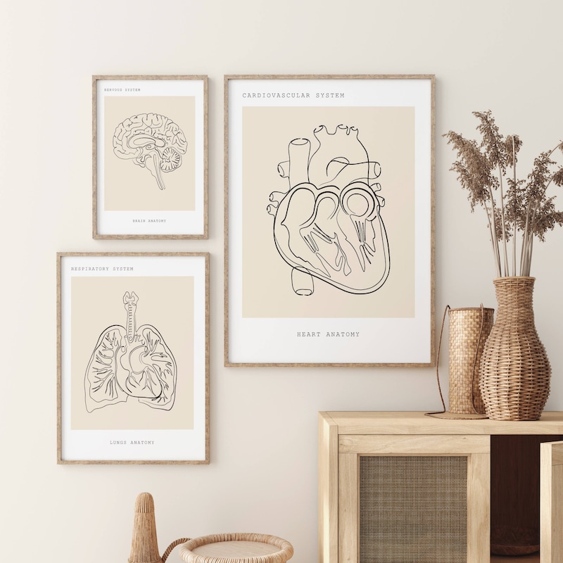 Anatomy Home Decor - Etsy