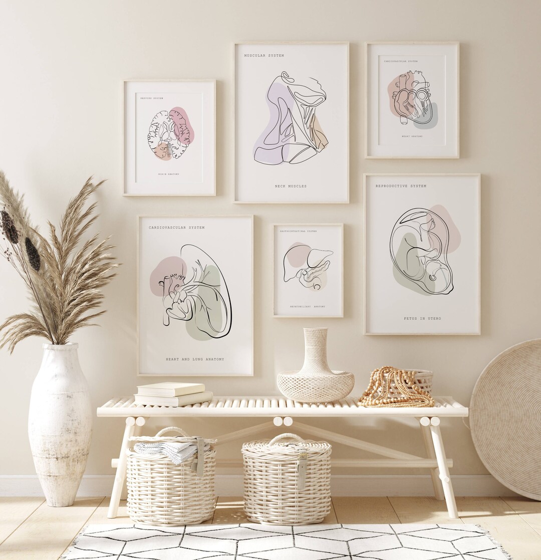 Anatomy Print Set, Human Anatomy Art, Medical Art, Doctors Day Gift ...