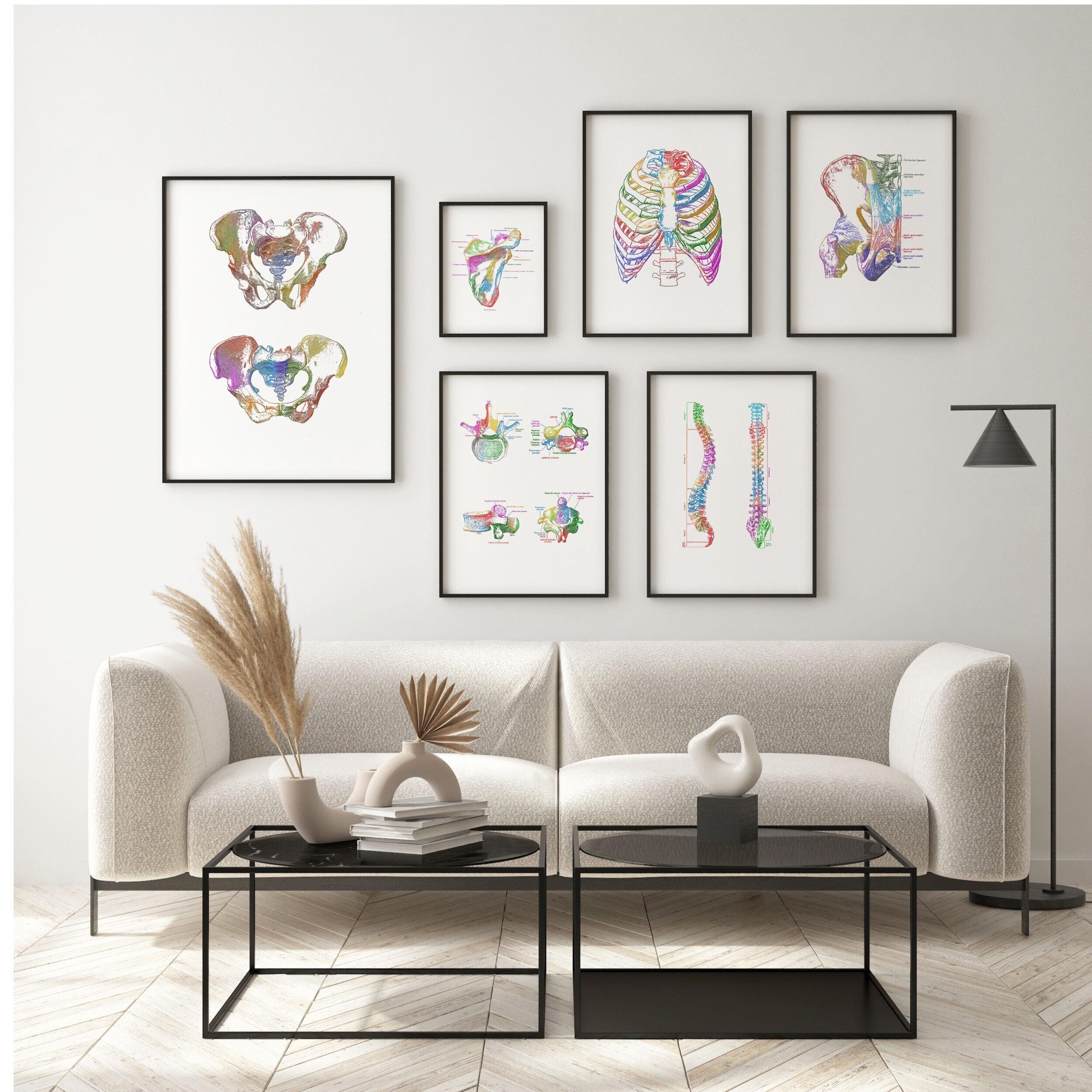 6 Chiropractic Anatomy Art Set, Chiropractor Gift, Medical Artwork ...