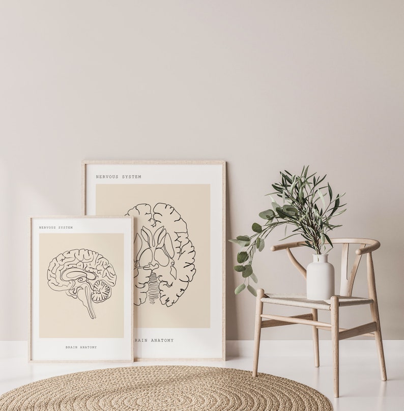 Brain Wall Art Human Anatomy Print Medical Art Brain - Etsy