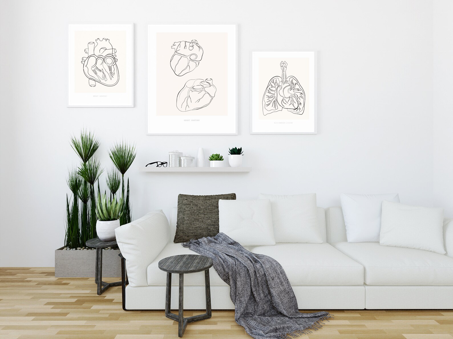 Anatomy Wall Art Anatomy Prints Human Anatomy Art Anatomy - Etsy
