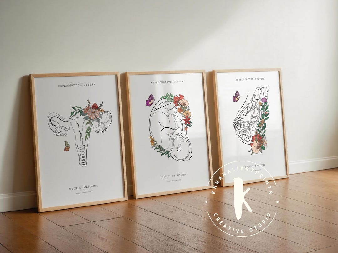 Floral Anatomy Art Print Set, Female Reproductive System, Line Art ...