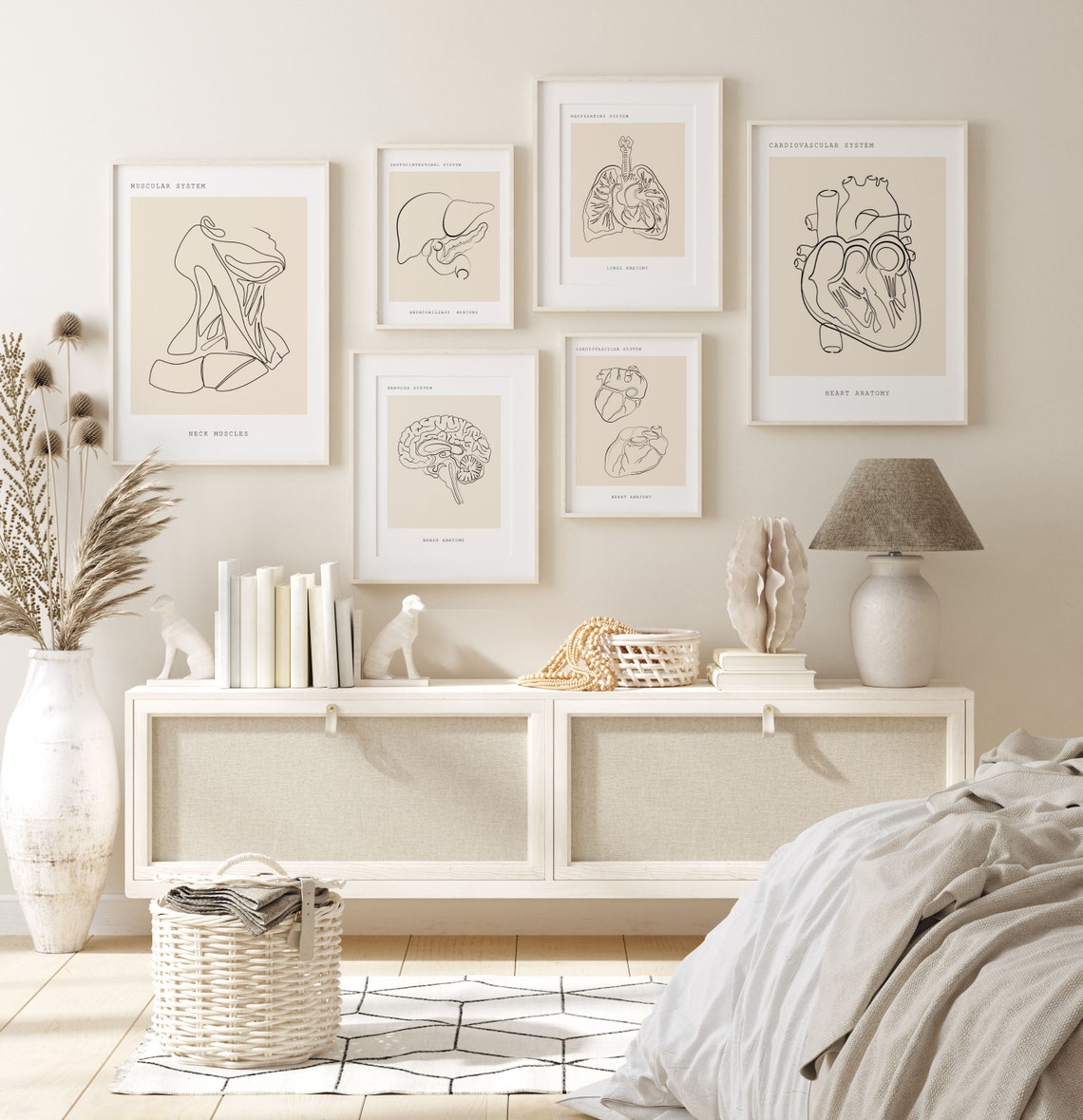 Human Anatomy Art Anatomy Wall Art Bundle Medical Wall Art | Etsy