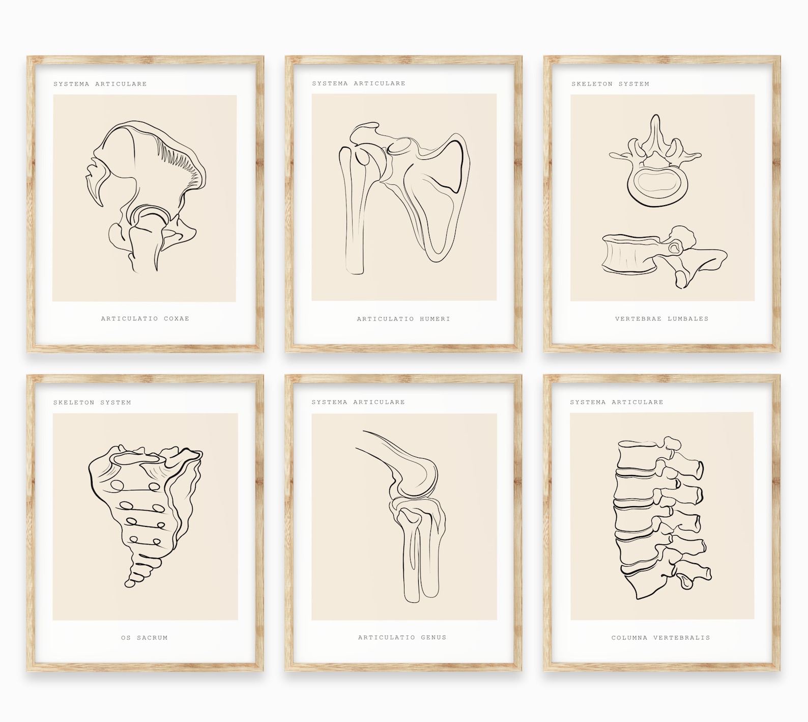 Human Anatomy Art Printsmedical Wall Art Set Anatomy Art - Etsy UK