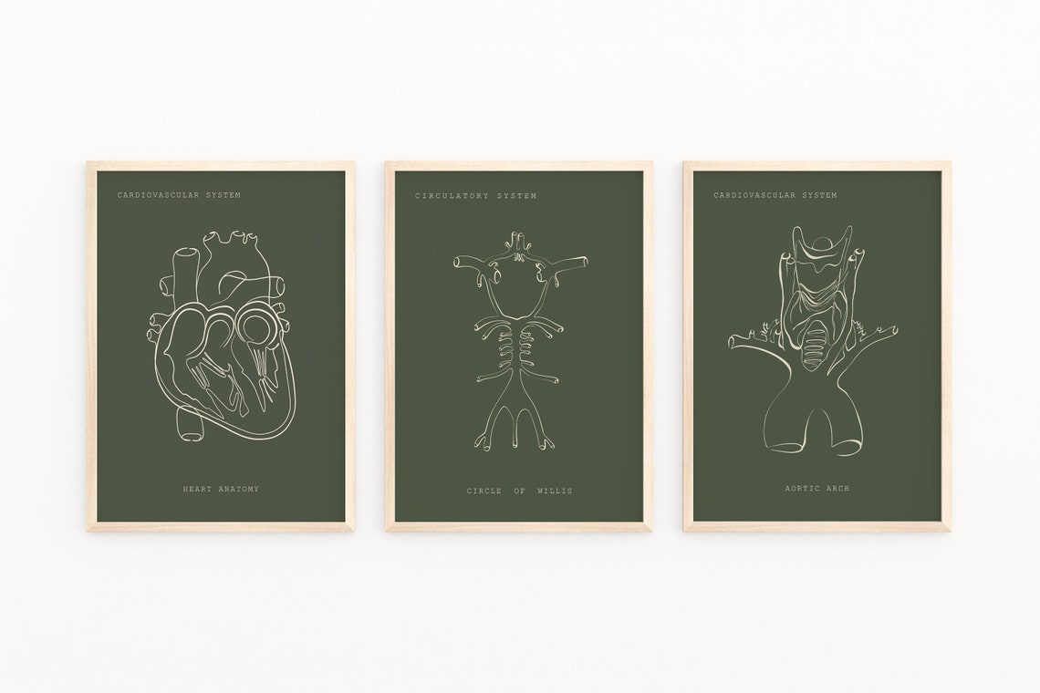 Human Anatomy Art Set Anatomy Poster Anatomy Wall | Etsy UK