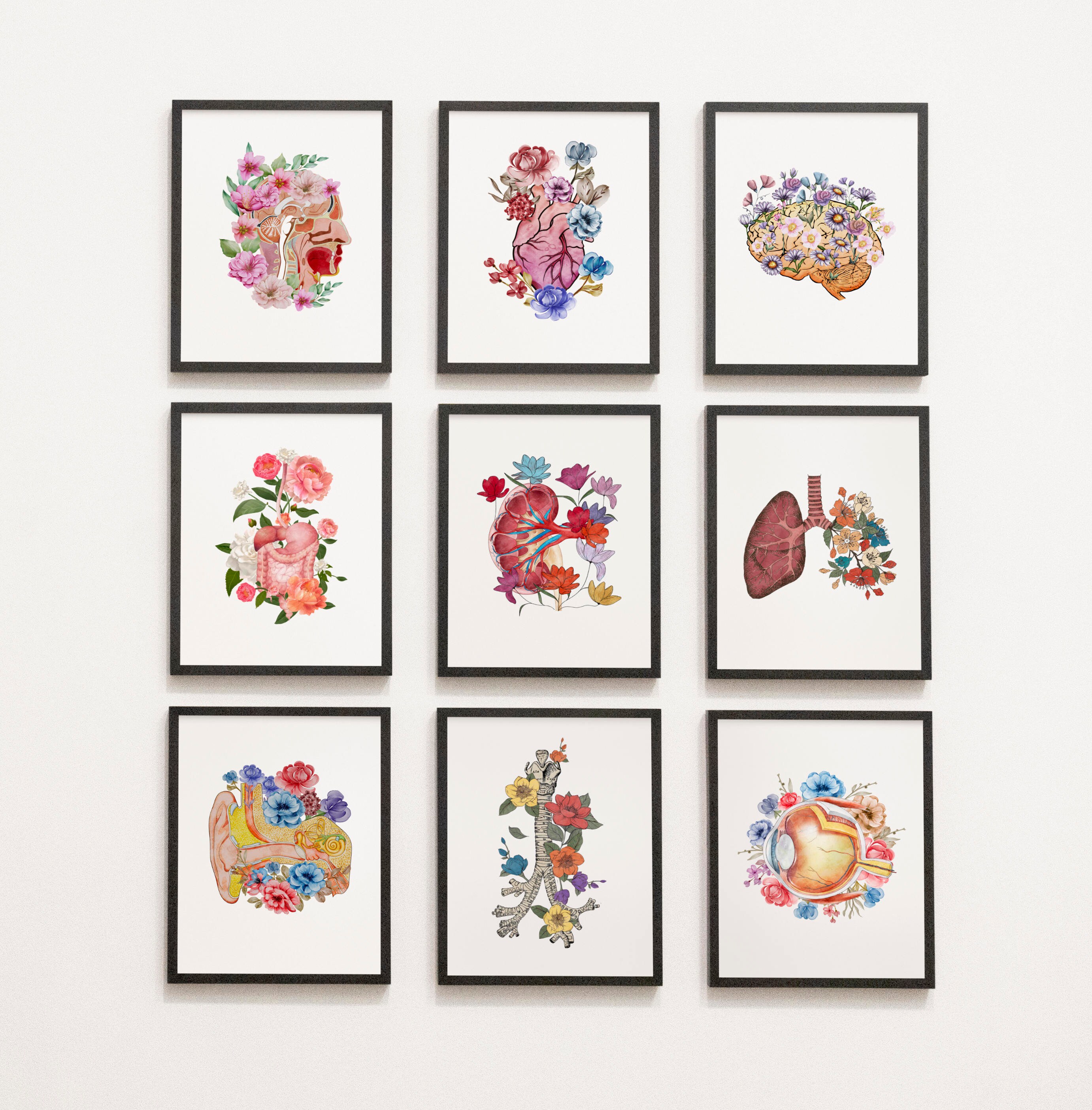 Anatomy Wall Art Set Medical Poster Anatomy Print Set Medical Art