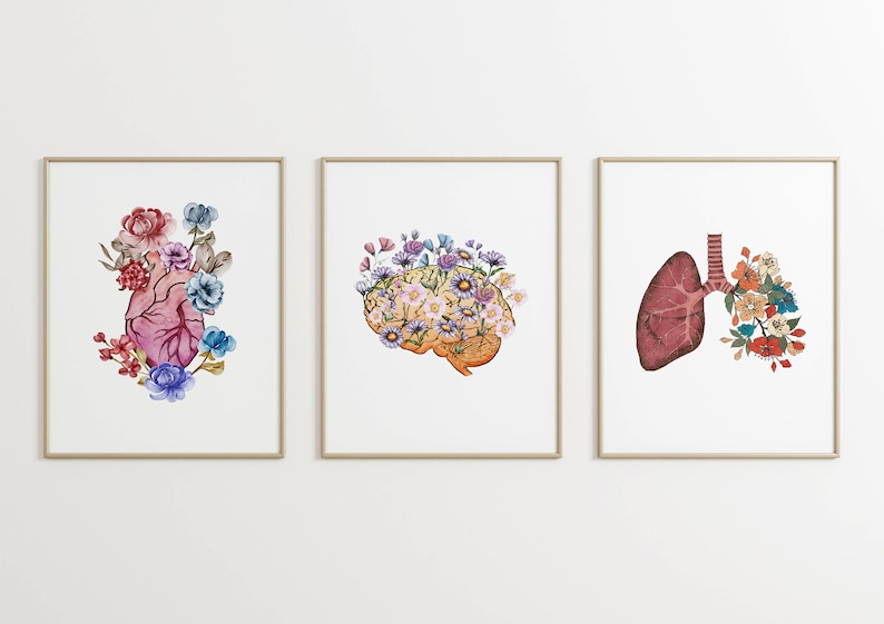 Anatomy Print Set of 3 Anatomy Art Floral Anatomy Poster - Etsy