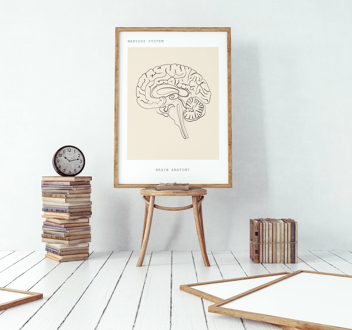 Brain Wall Art Human Anatomy Print Medical Art Brain - Etsy