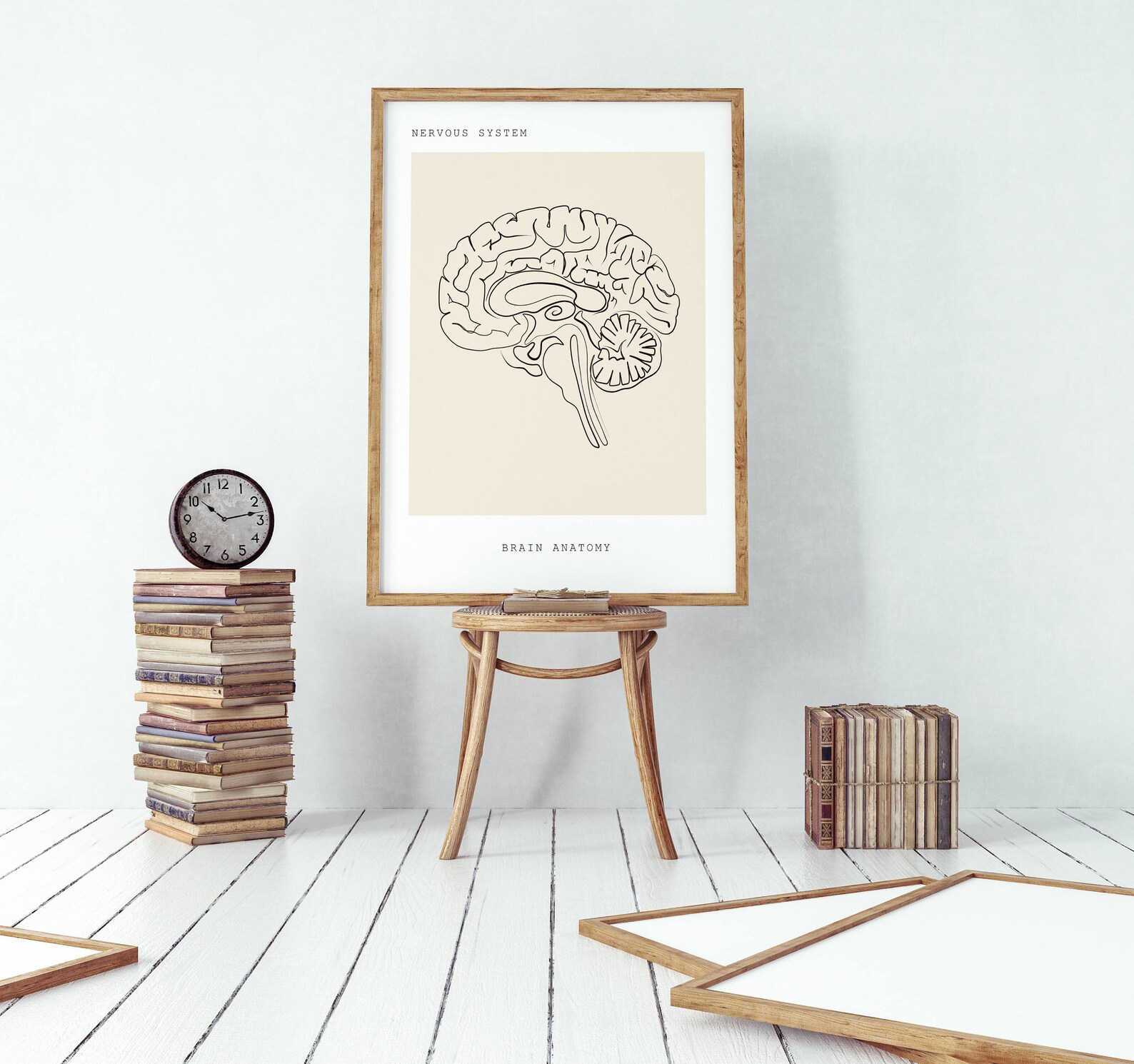 Brain Wall Art Human Anatomy Print Medical Art Brain - Etsy