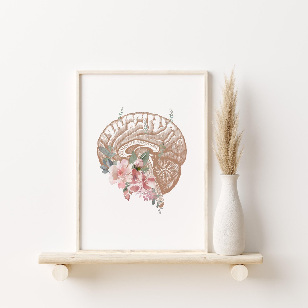 Brain Anatomy Art, Floral Medical Artwork, Neuroscience Art, Human ...