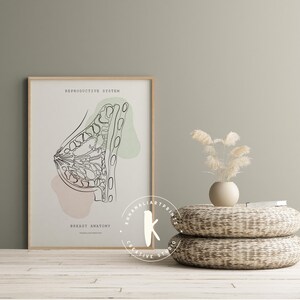 Female Anatomy Art Print - OBGYN Office Decor (digital Download) - Etsy