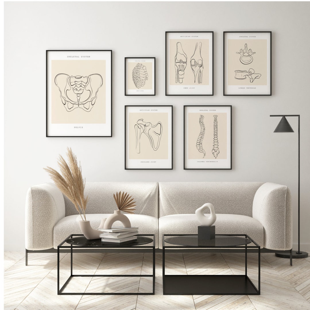 Anatomy Art Print Set, Chiropractic, Orthopedic Decor (digital Download ...