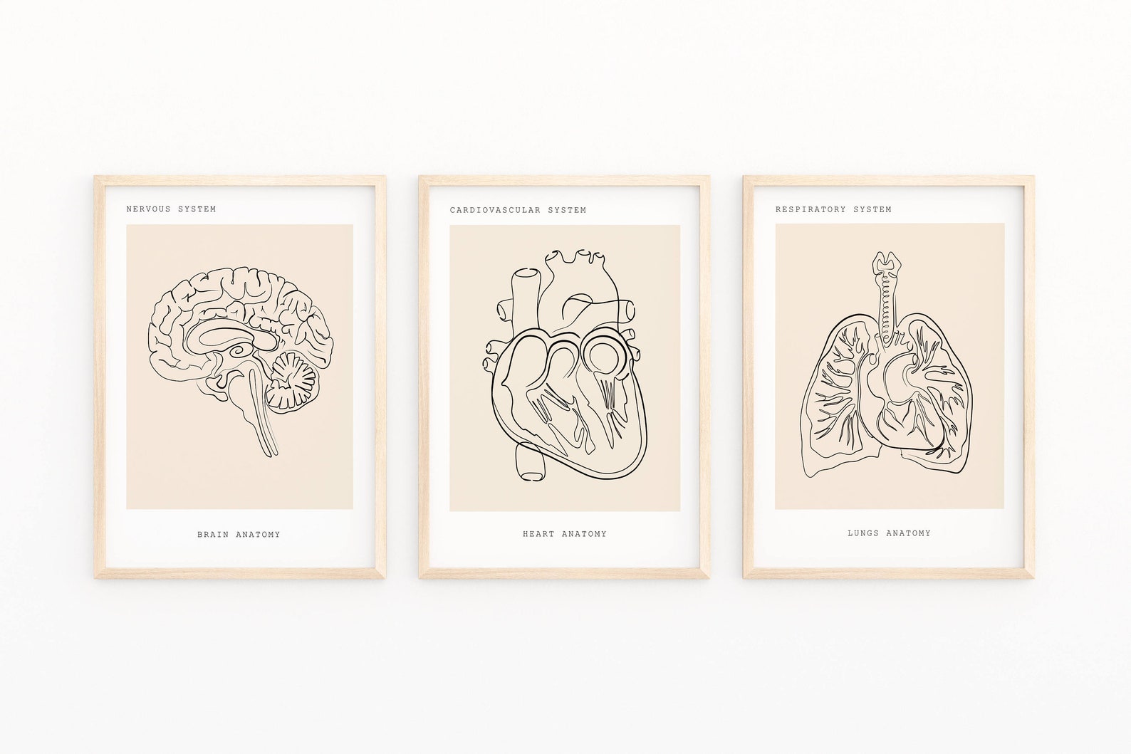 Anatomy Medical Wall Art Brain Art Heart Art Anatomy Art - Etsy