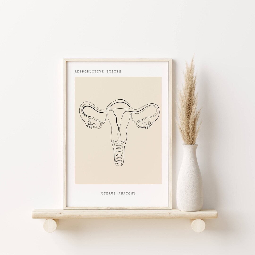 Uterus Anatomy Art, Reproductive System Art Prints, Anatomy Poster ...