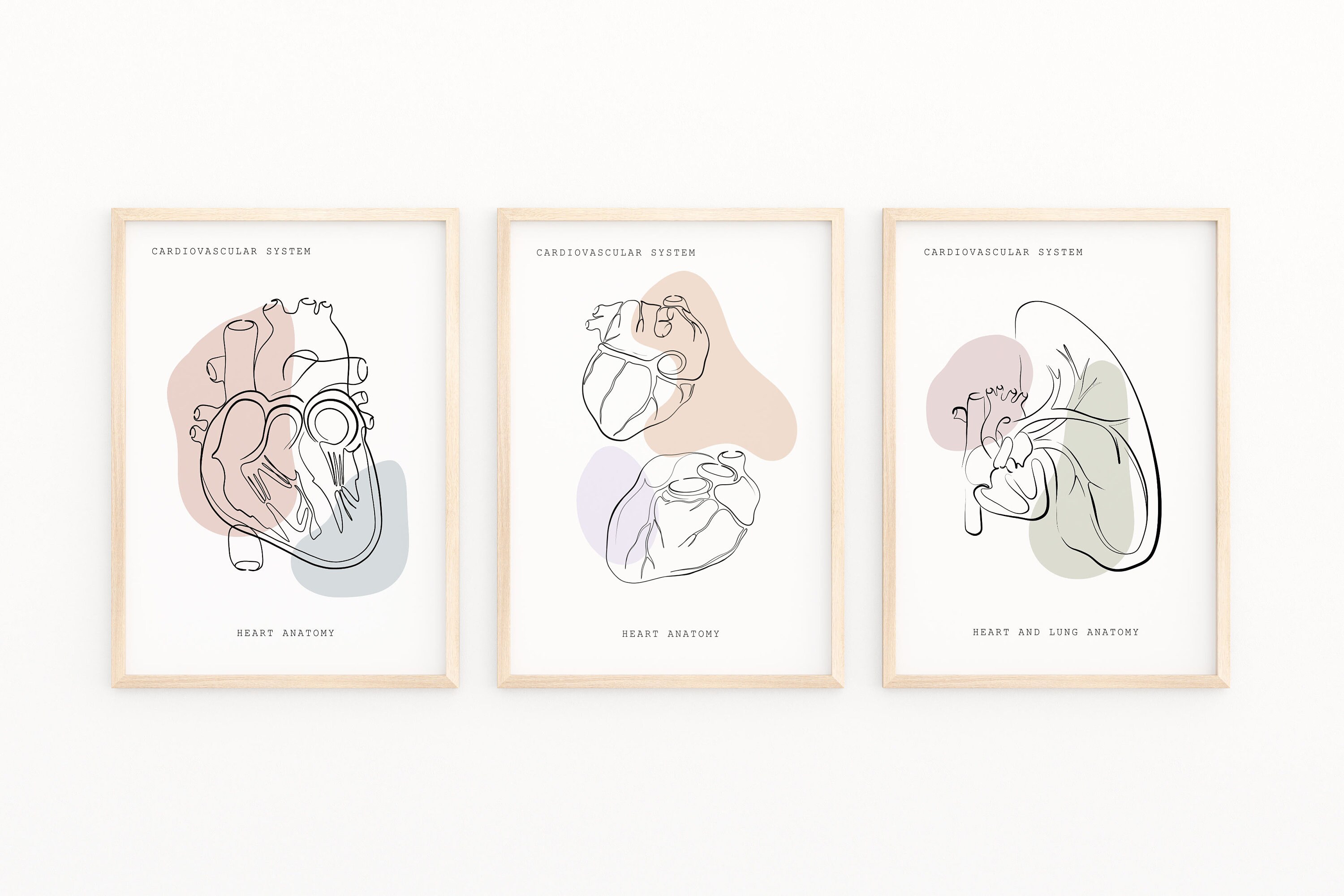 Anatomy Wall Art Set Medical Print Colorful Anatomy Set - Etsy UK