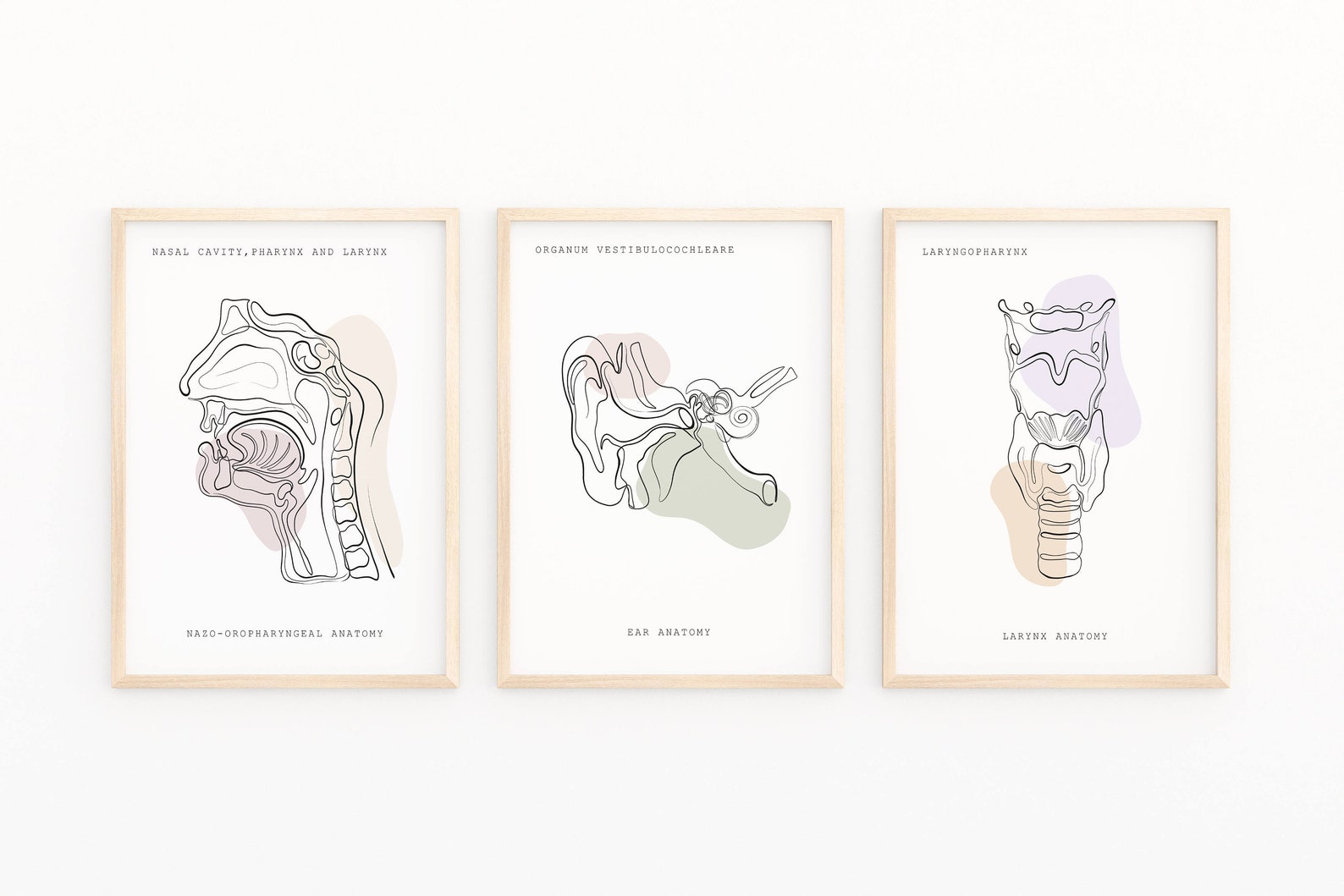 Anatomy Wall Art Set Medical Print Colorful Anatomy Set - Etsy