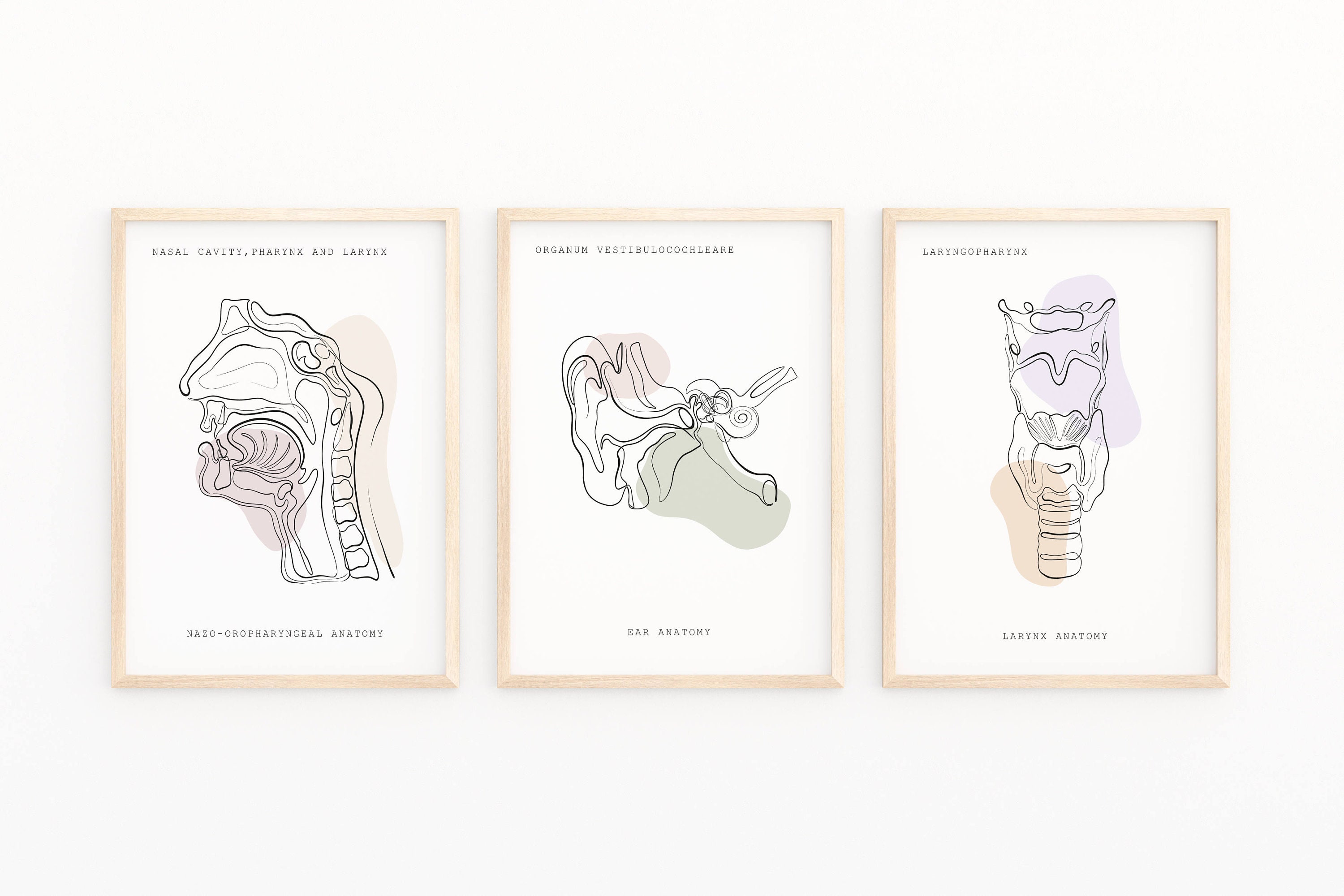 Anatomy Wall Art Set Medical Print Colorful Anatomy Set - Etsy UK