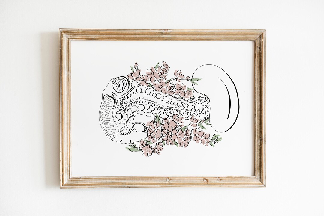 Anatomy Wall Art, Pancreas Cancer, Gastrointestinal Print, Anatomical ...