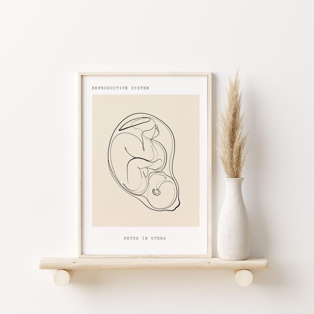 Fetal Anatomy Pregnancy Anatomy Wall Art Reproductive Art Print