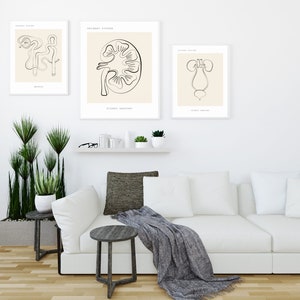 Human Anatomy Art, Urinary Tract Anatomy, Urinary System, Medical Print ...