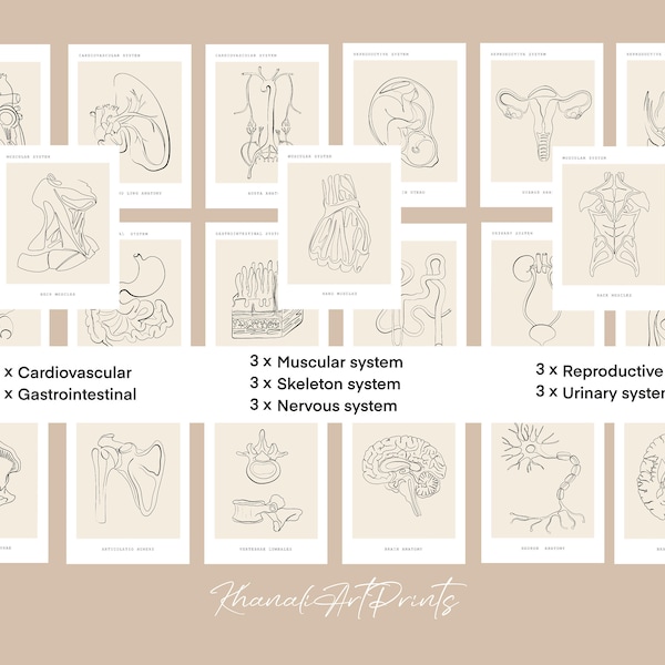 Anatomy Art - Etsy
