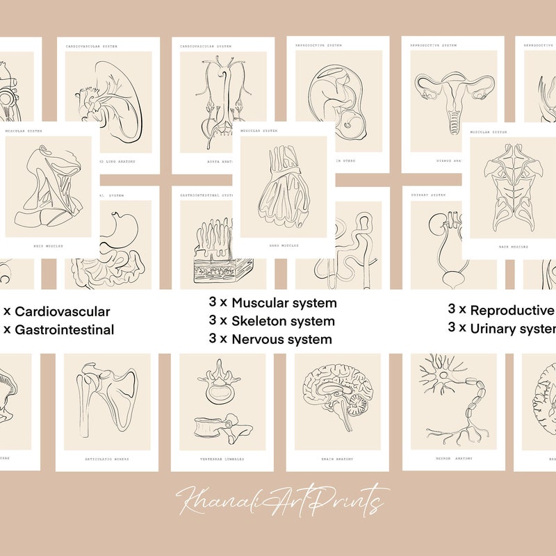 Anatomy Art - Etsy