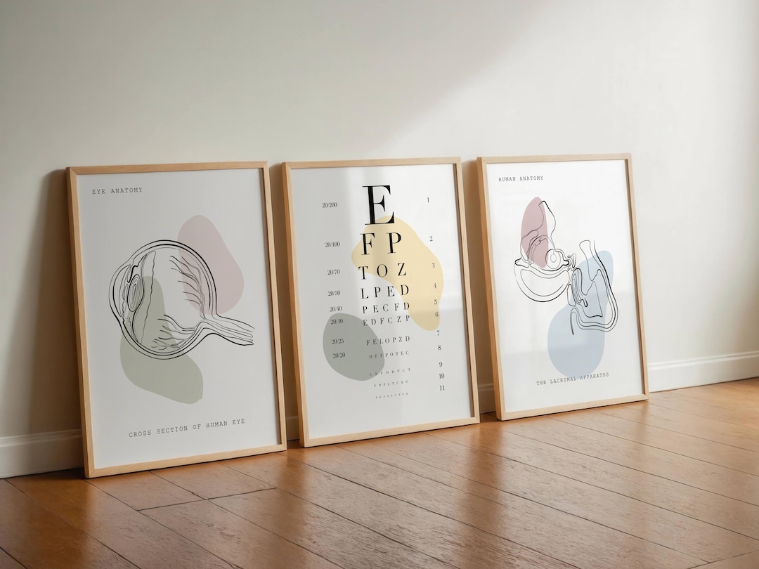 Ophthalmology Poster, Anatomy Wall Art Prints, Eye Clinic Wall Decor ...