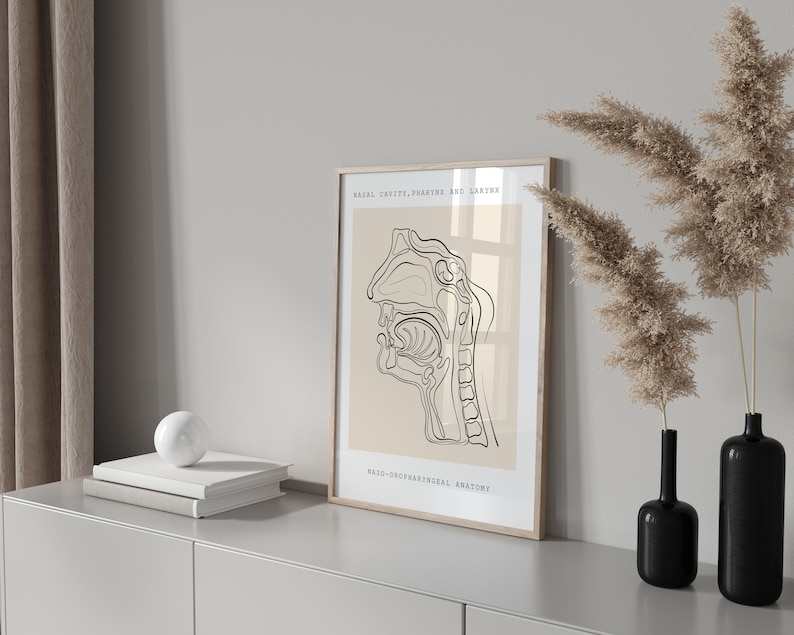Medical Art Nasal Cavity Anatomy Wall Art Anatomy Prints - Etsy