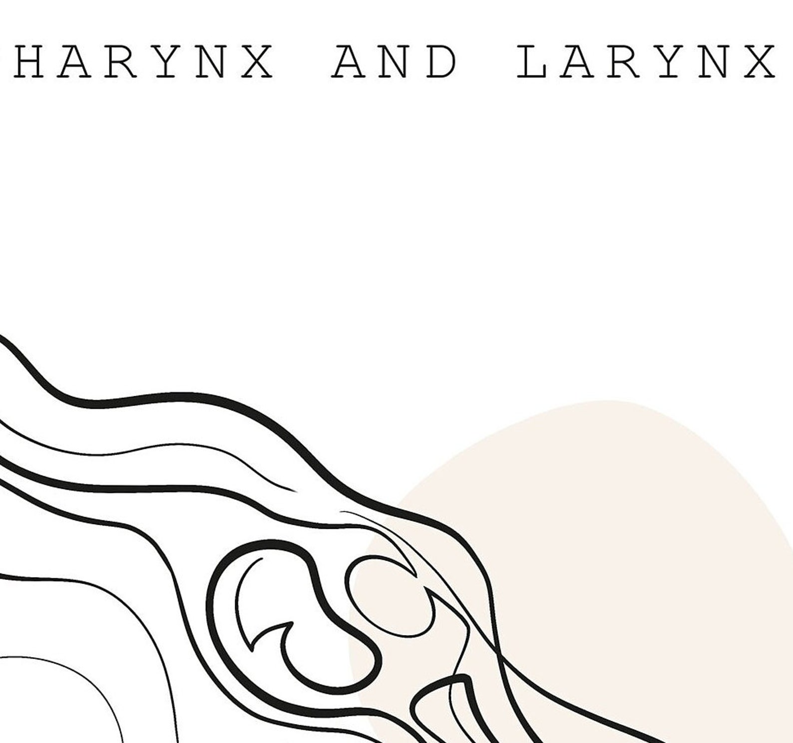 Anatomy Art, ENT Print, Medical Art, Ear Throat Nose Anatomy Pharynx ...