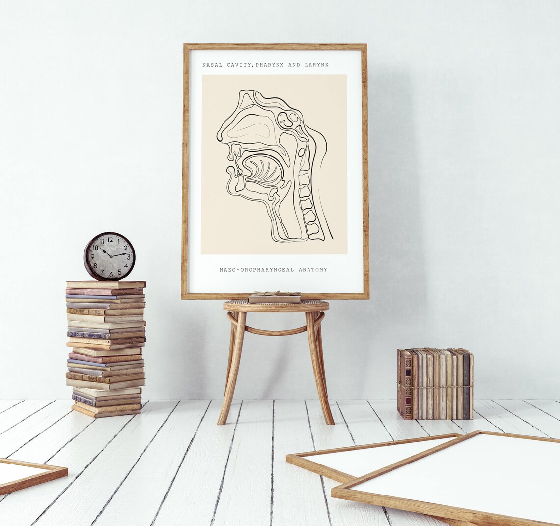 Medical Art Nasal Cavity Anatomy Wall Art Anatomy Prints - Etsy